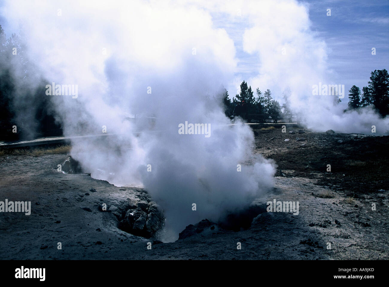 1988 yellowstone forest fires hi-res stock photography and images - Alamy