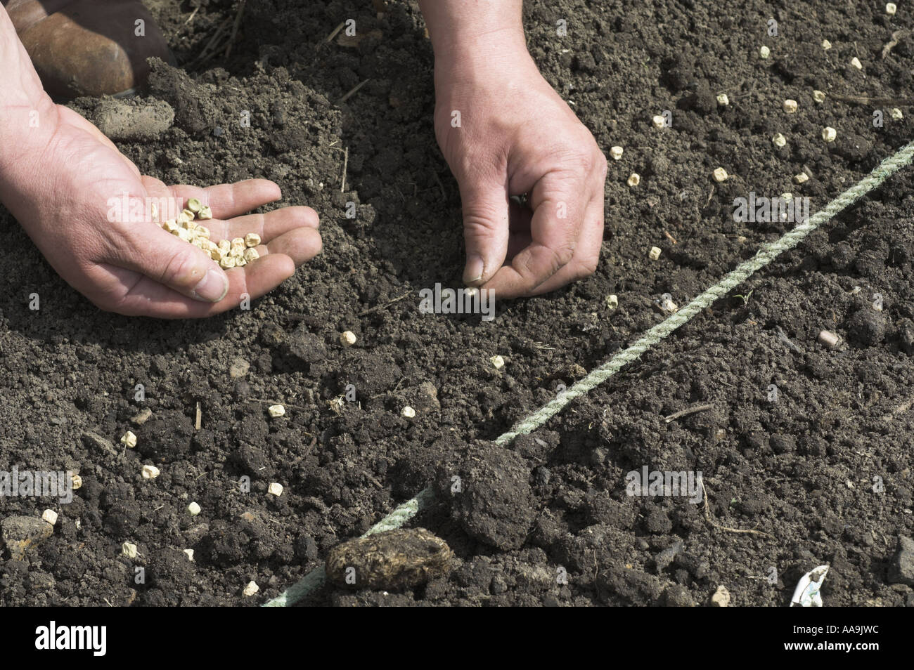 Sowing seeds in urban hi-res stock photography and images - Alamy