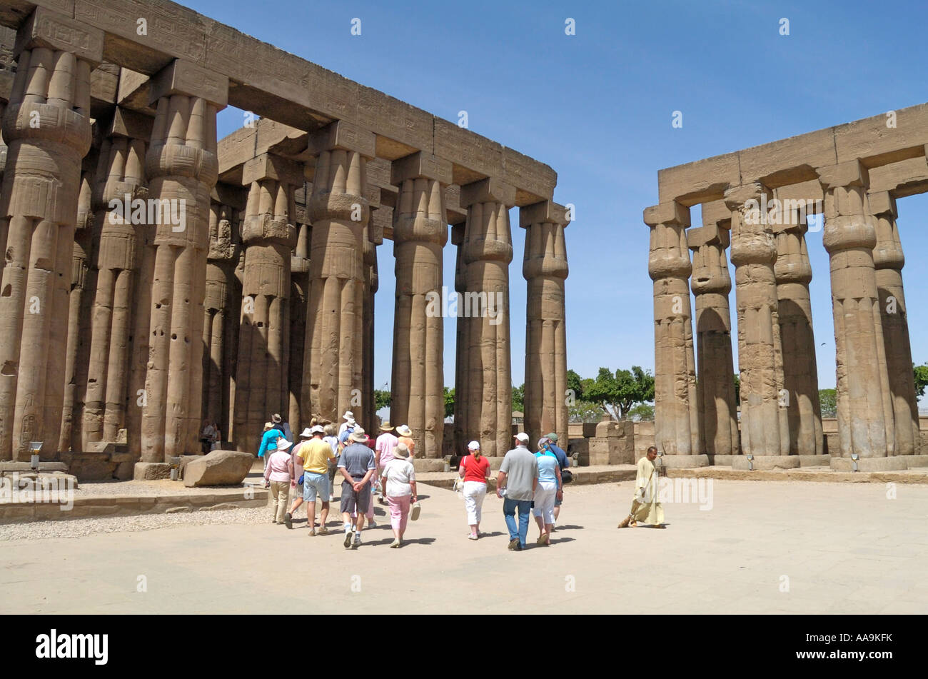 The east side of the peristyle court of Amenhotep III at Luxor Temple ...