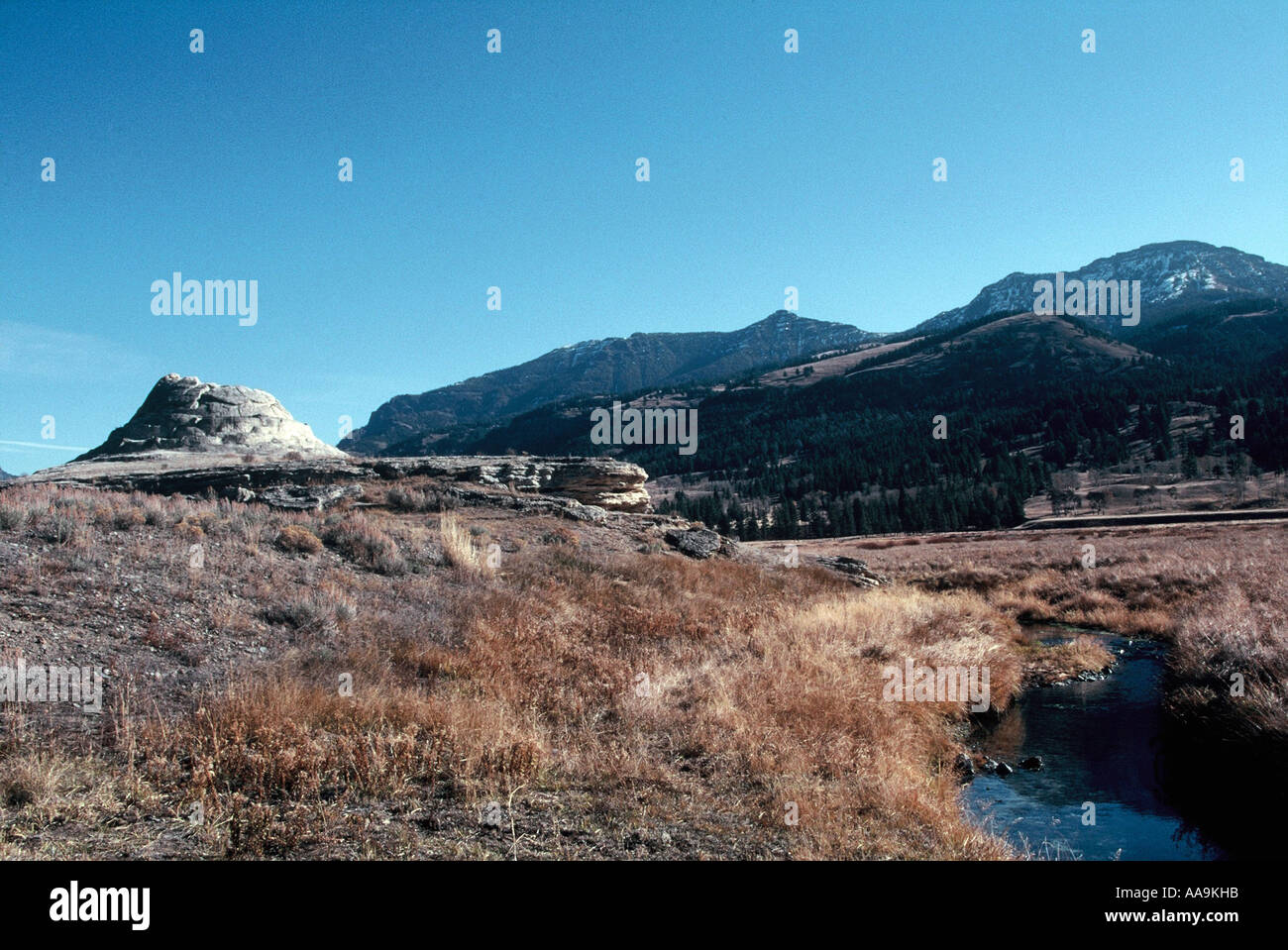 Soda Butte travertine fumerole Stock Photo - Alamy