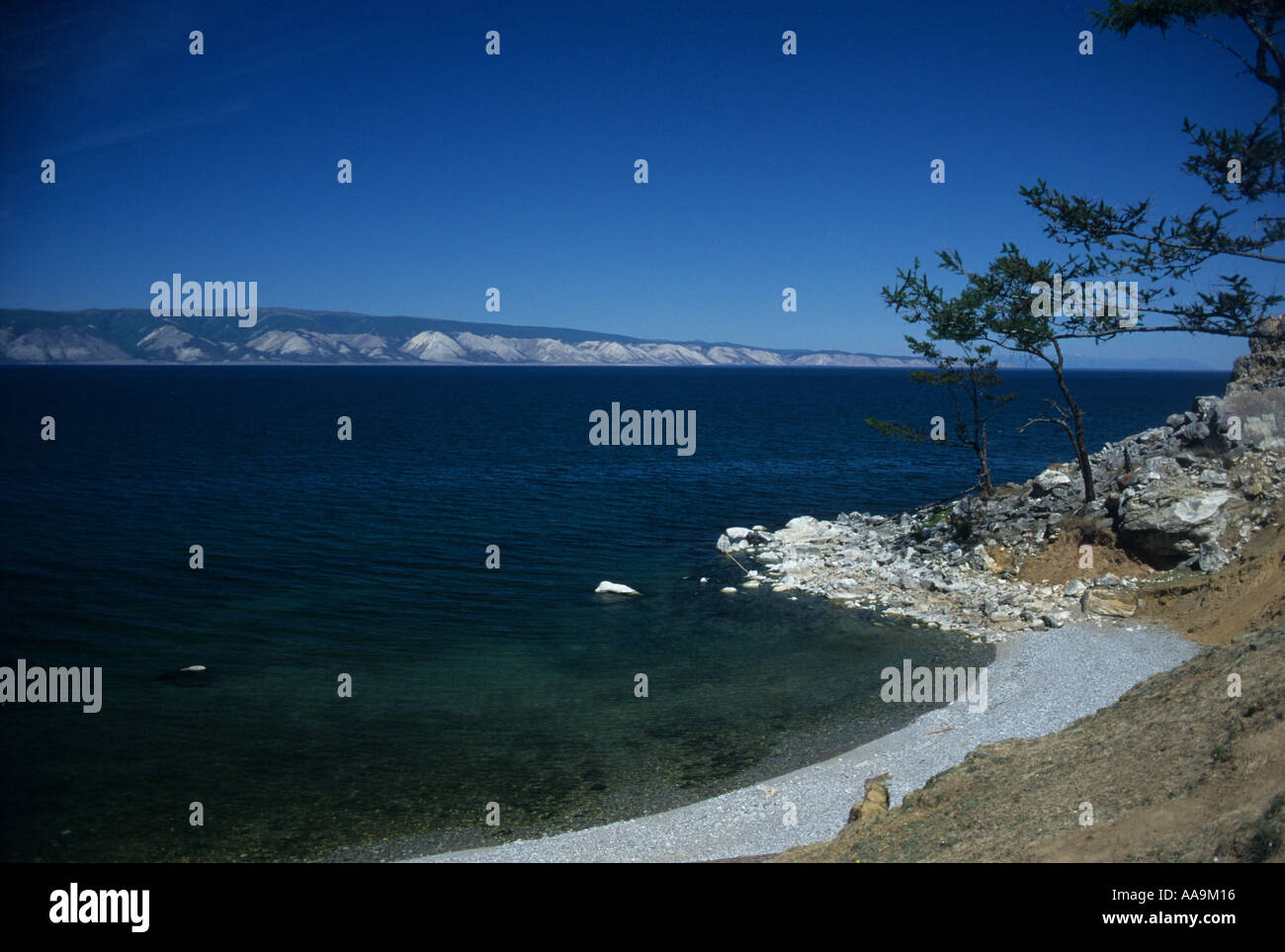 Shores of Lake Baikal Siberia Russia with trees and stony beach Stock ...