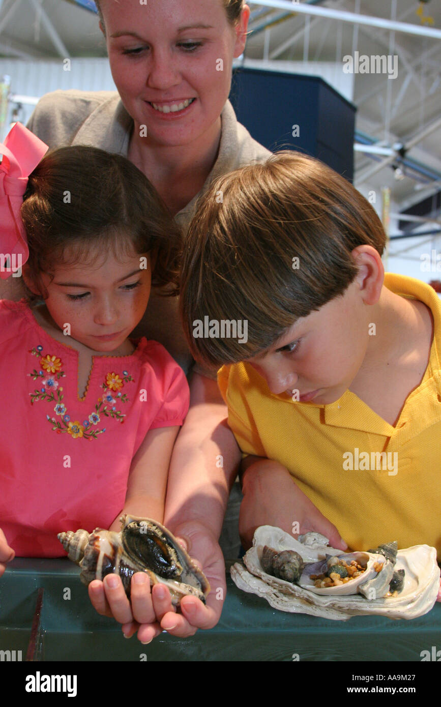 Alabama Dauphin Island,The Estuarium,public aquarium,hands on exhibit ...
