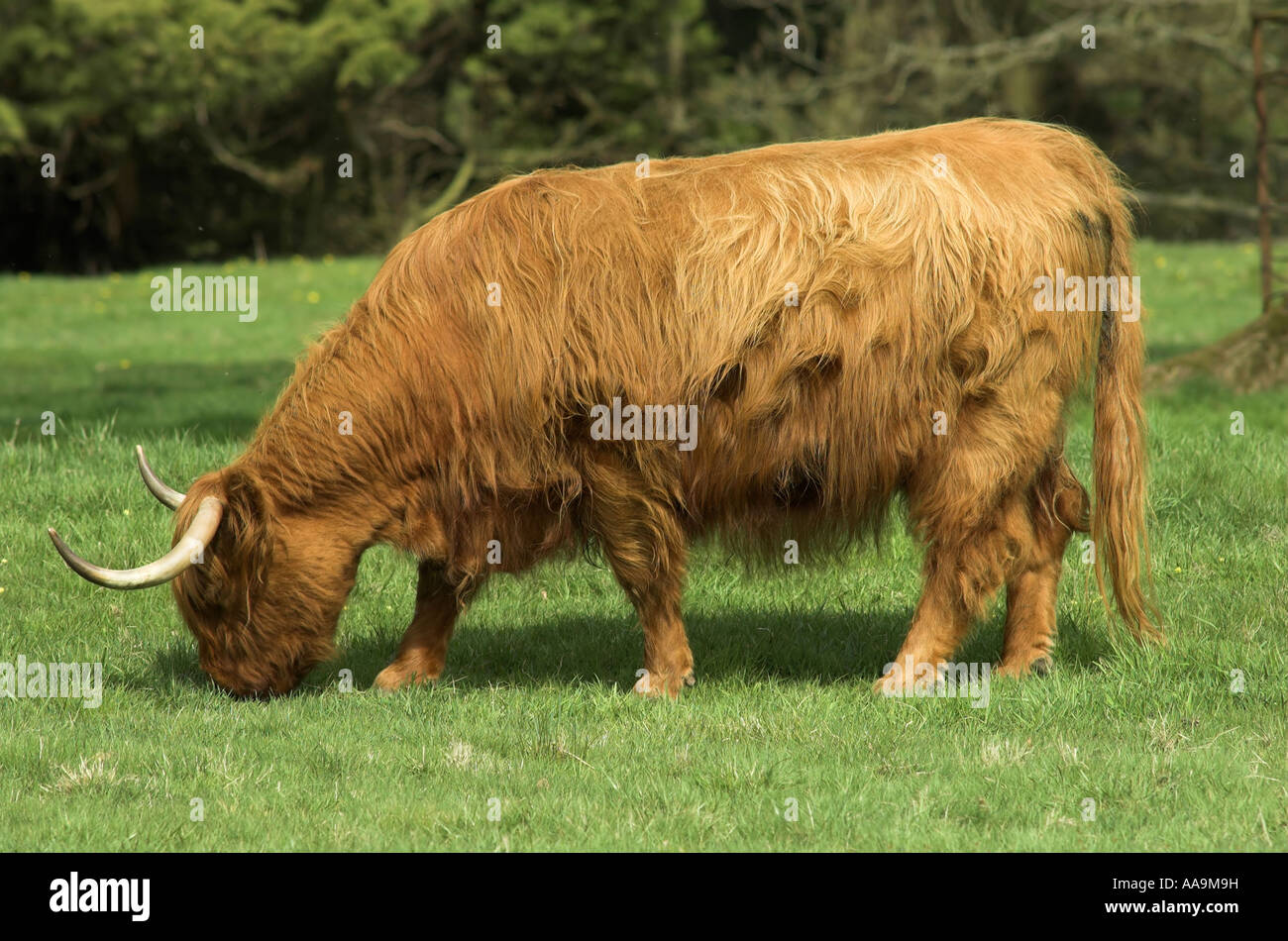 Colour portrairt hi-res stock photography and images - Alamy