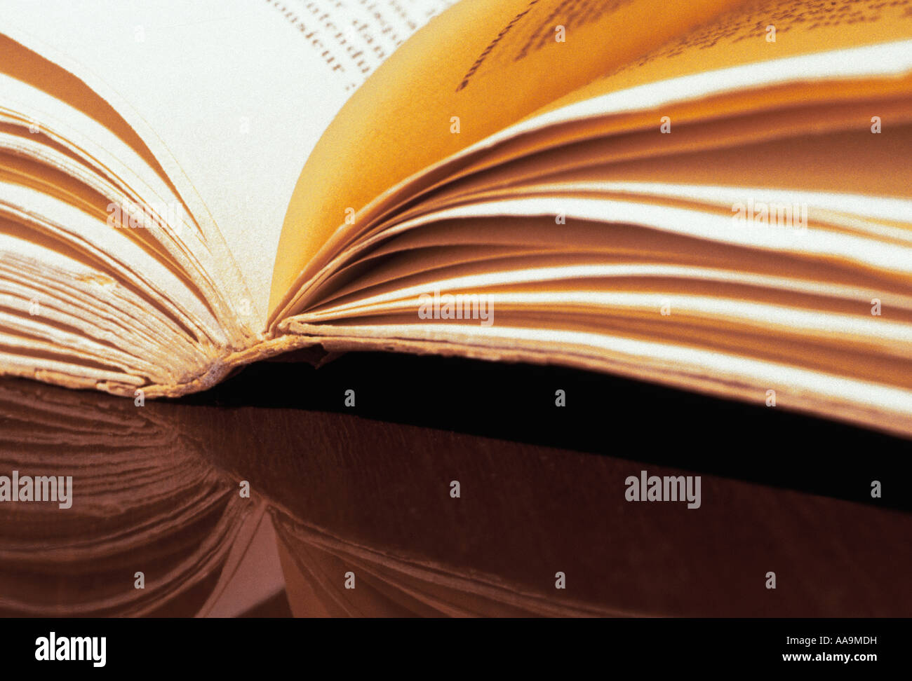 Open book. Low angle close up view of one open book on a table in a ...