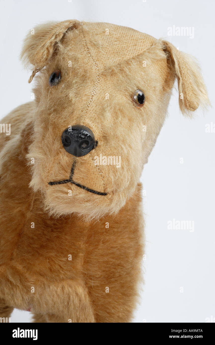 childs walking aid dog on wheels Stock Photo - Alamy