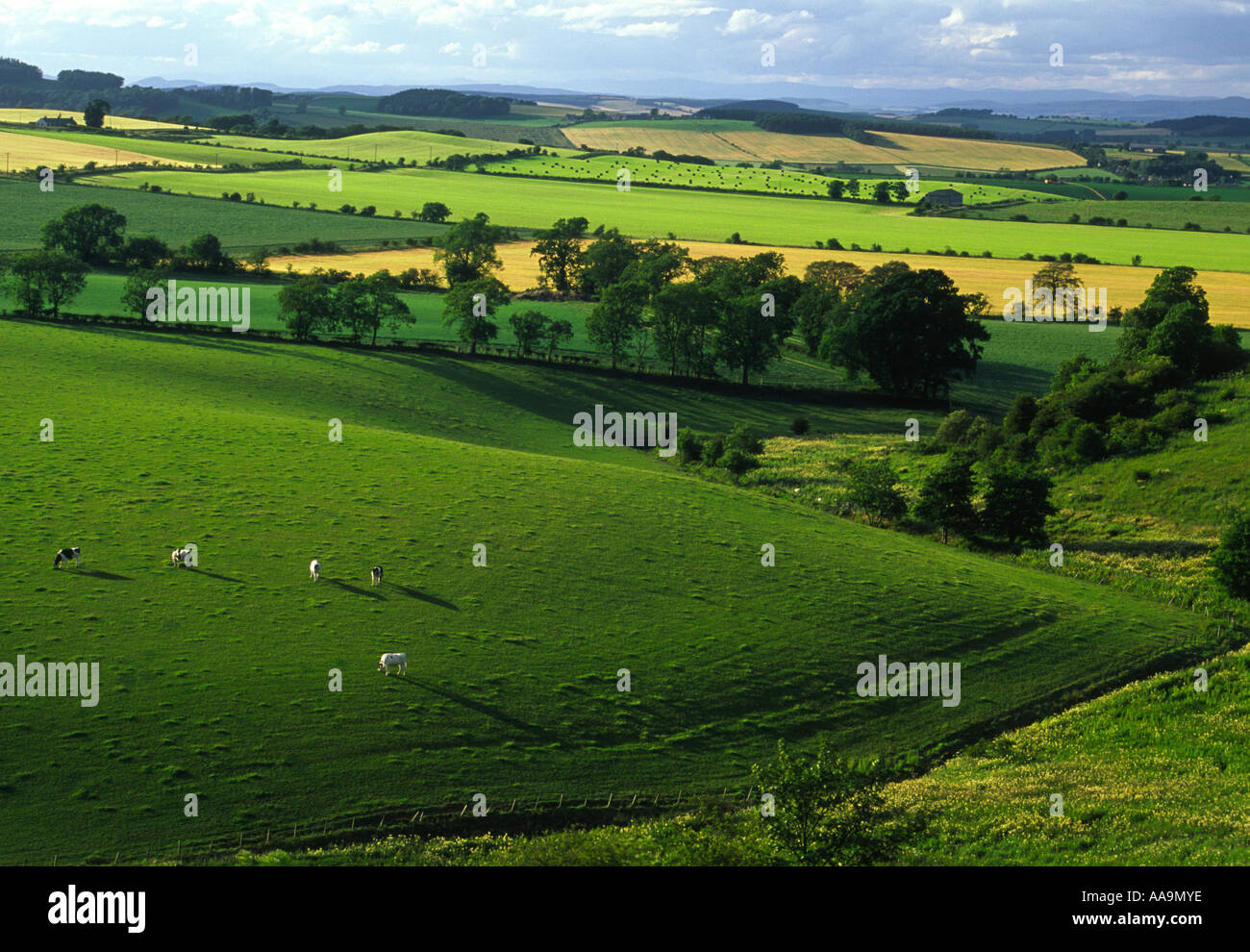 Ceres fife scotland hi-res stock photography and images - Alamy
