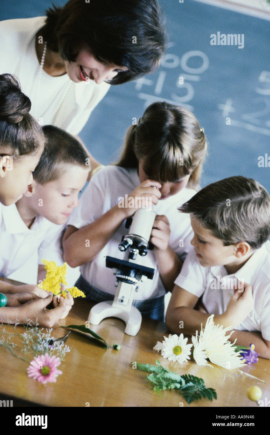 Multi head microscope hi-res stock photography and images - Alamy