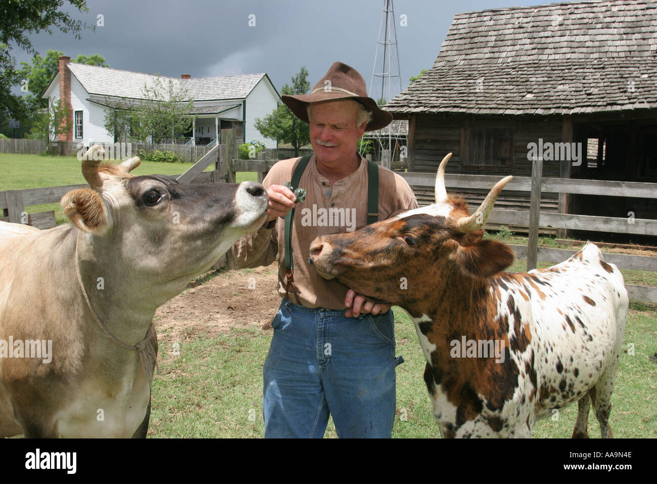 Piney woods region hi-res stock photography and images - Alamy