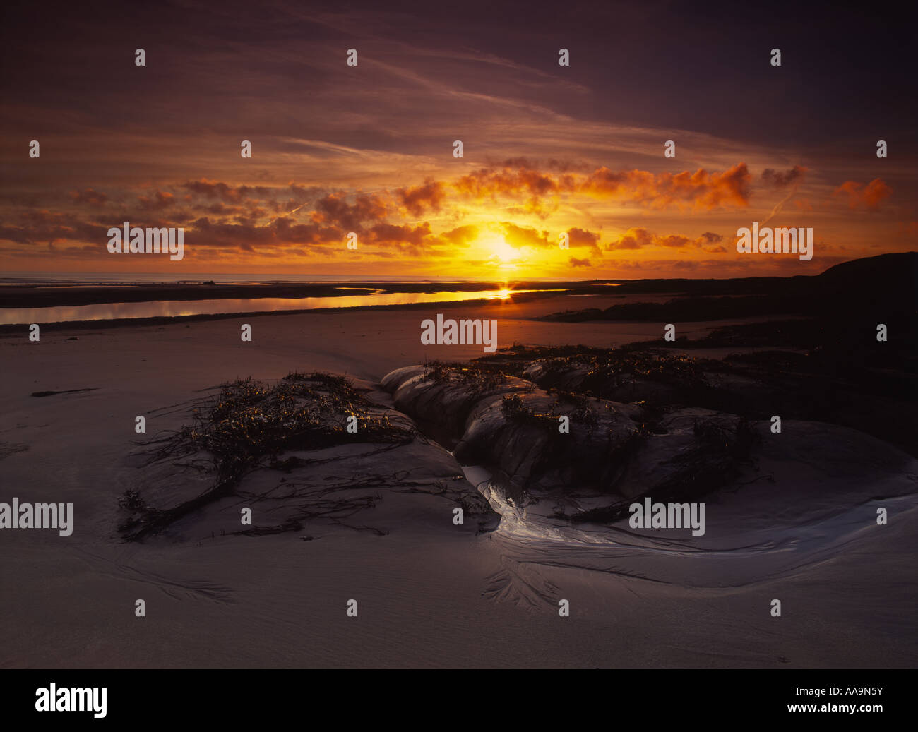 Sunrise at Beach between Seahouses and Bamburgh, Northumberland Stock ...