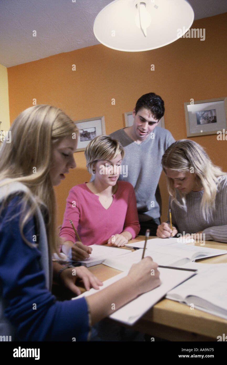 Teenagers studying together Stock Photo - Alamy