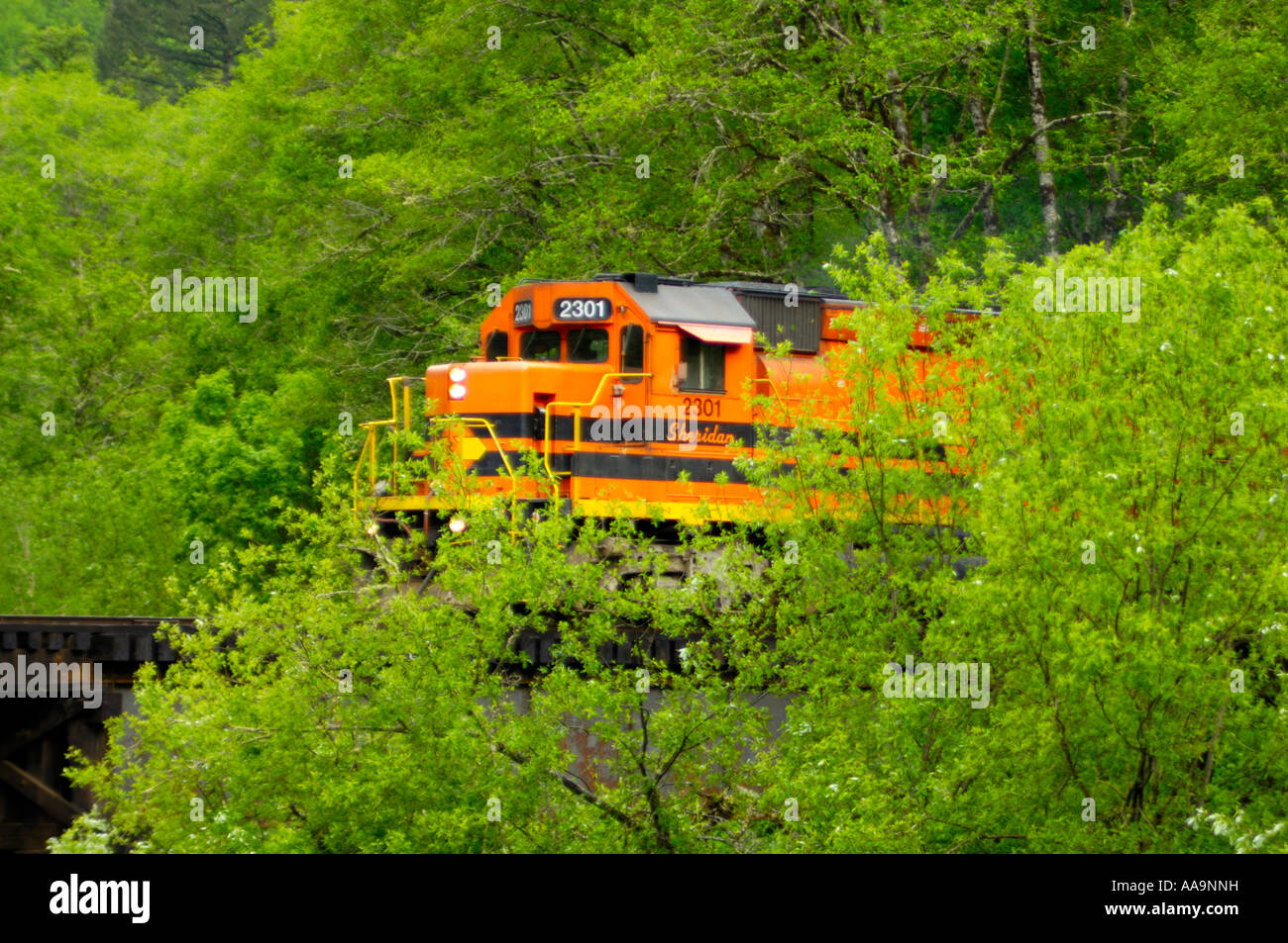 Green forest train Stock Photo - Alamy