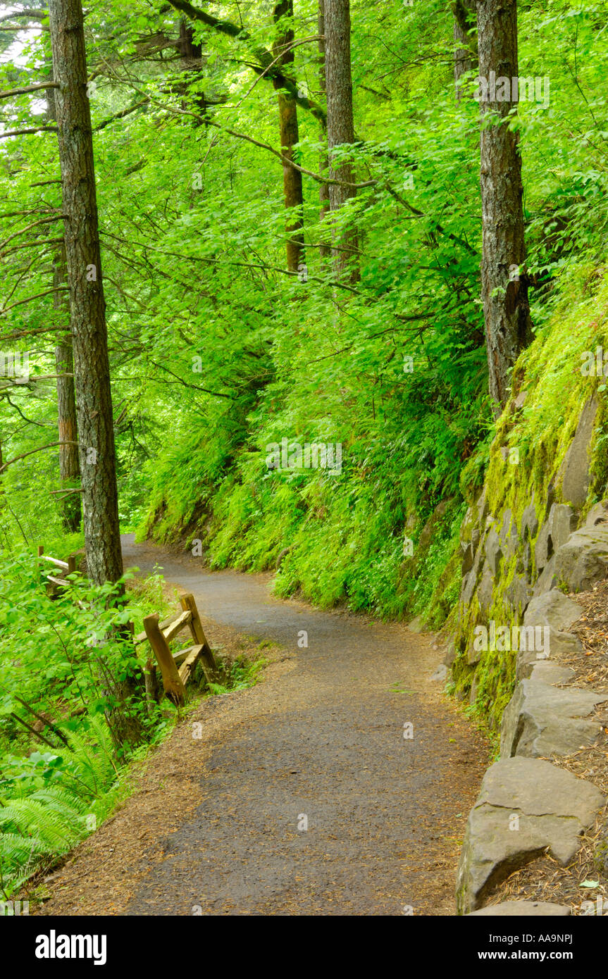 Downward path hi-res stock photography and images - Alamy