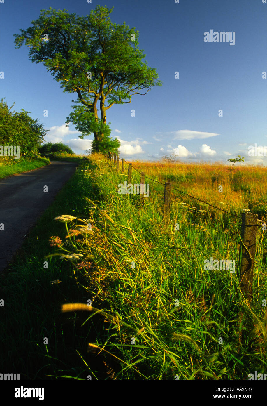 Gilston road hi-res stock photography and images - Alamy