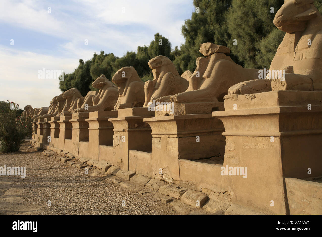 Sphinxes at the Karnak Temple, Luxor, River Nile, Egypt Stock Photo - Alamy