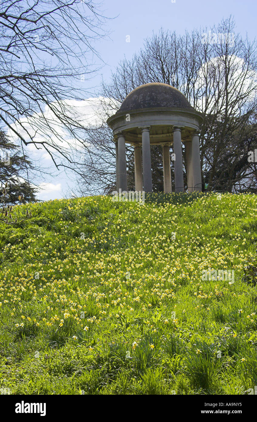 Rotunda Royal Botanical Gardens Kew in Spring with Daffodils in ...