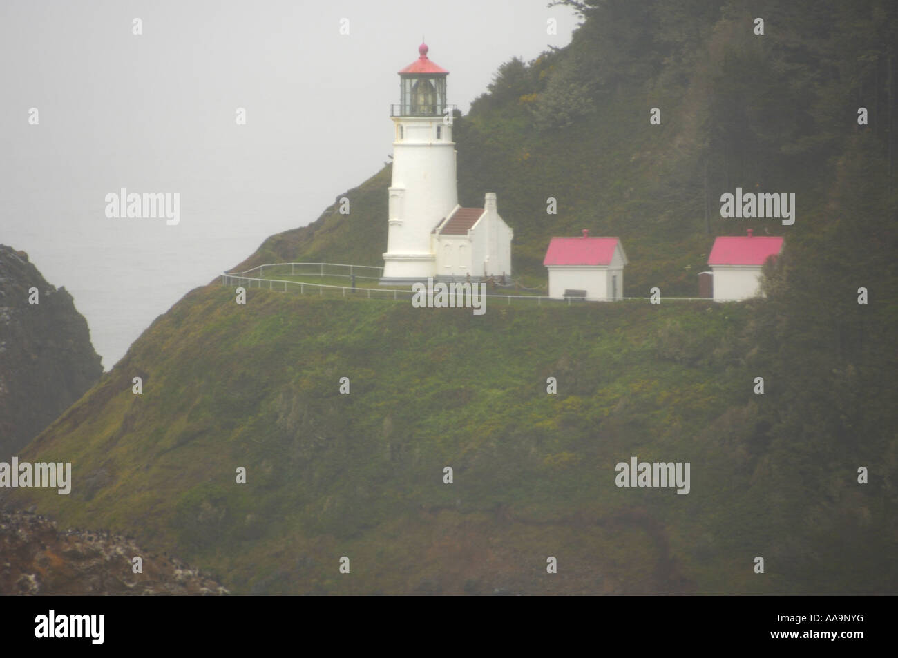 Haceta Head Lighthouse, Oregon Stock Photo - Alamy