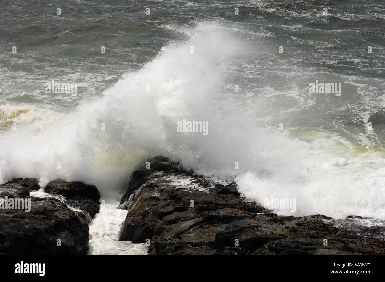 Bursting coastal wave hi-res stock photography and images - Alamy