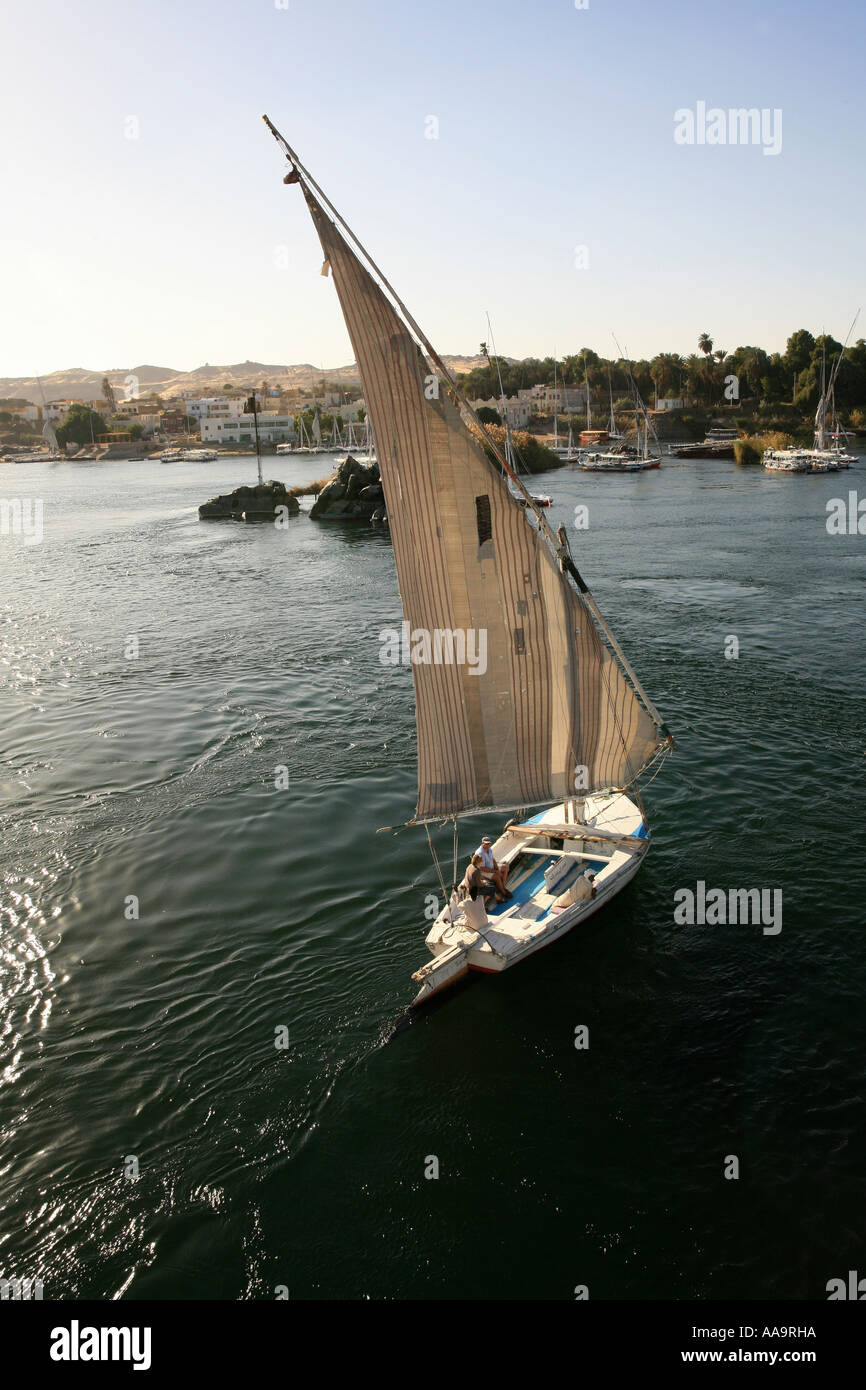 Felucca boats on the River Nile at Aswan in full sail Stock Photo - Alamy