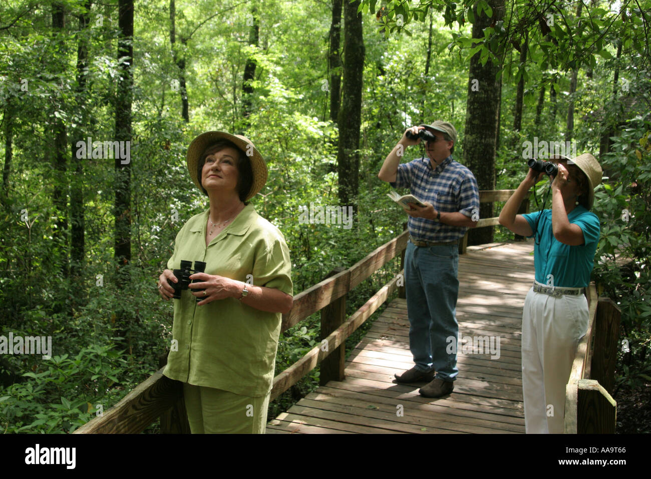 Dothan Alabama,Landmark Park,nature boardwalk,birdwatchers,trees ...
