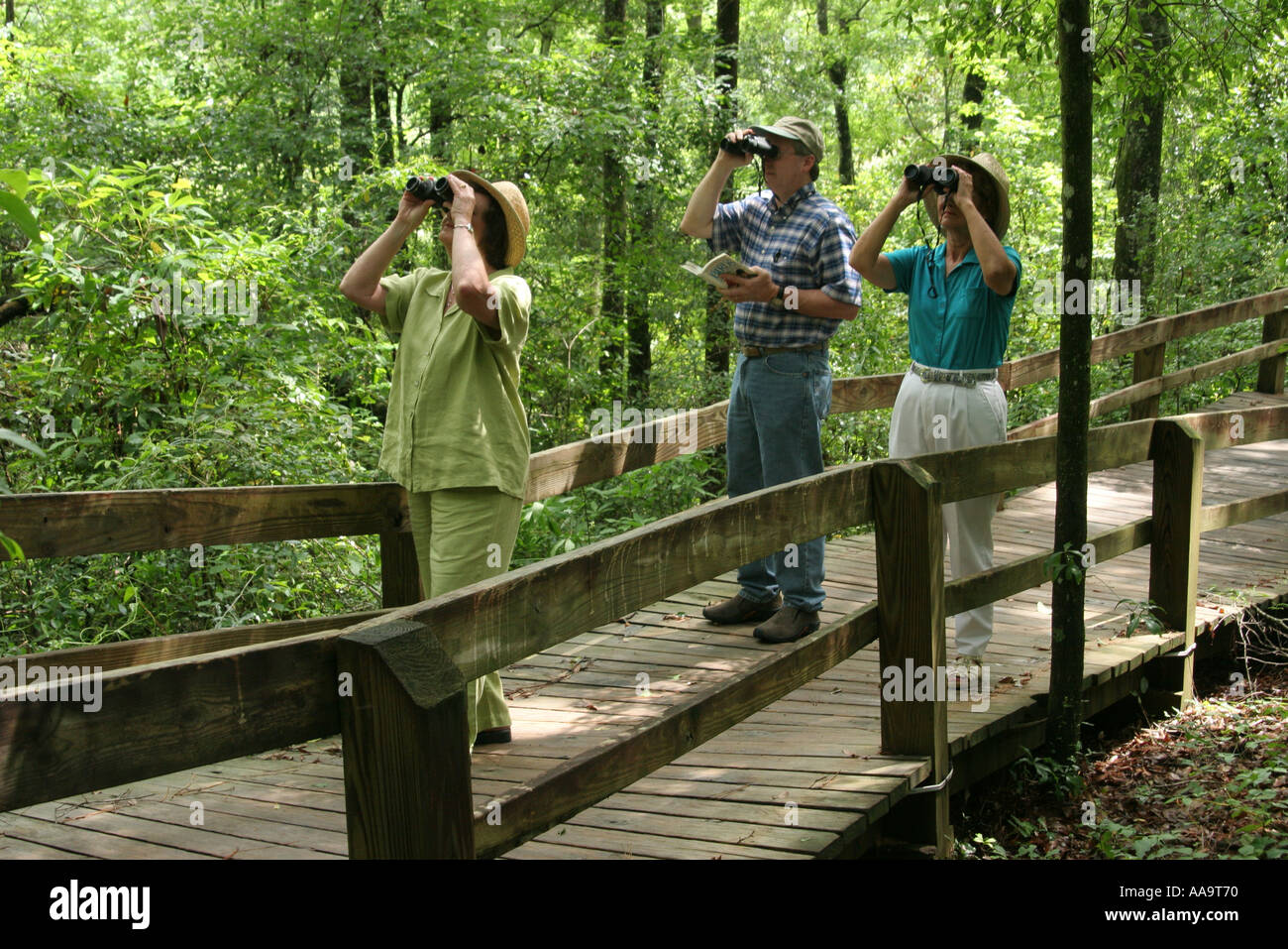 Dothan Alabama,Landmark Park,nature boardwalk,birdwatchers,trees ...