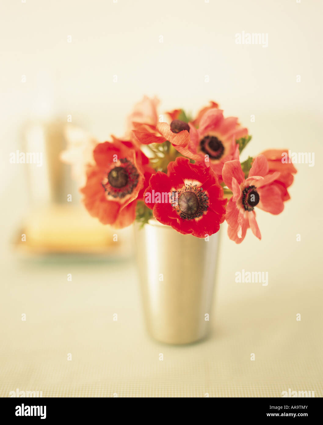 flower put in in a cup Stock Photo - Alamy