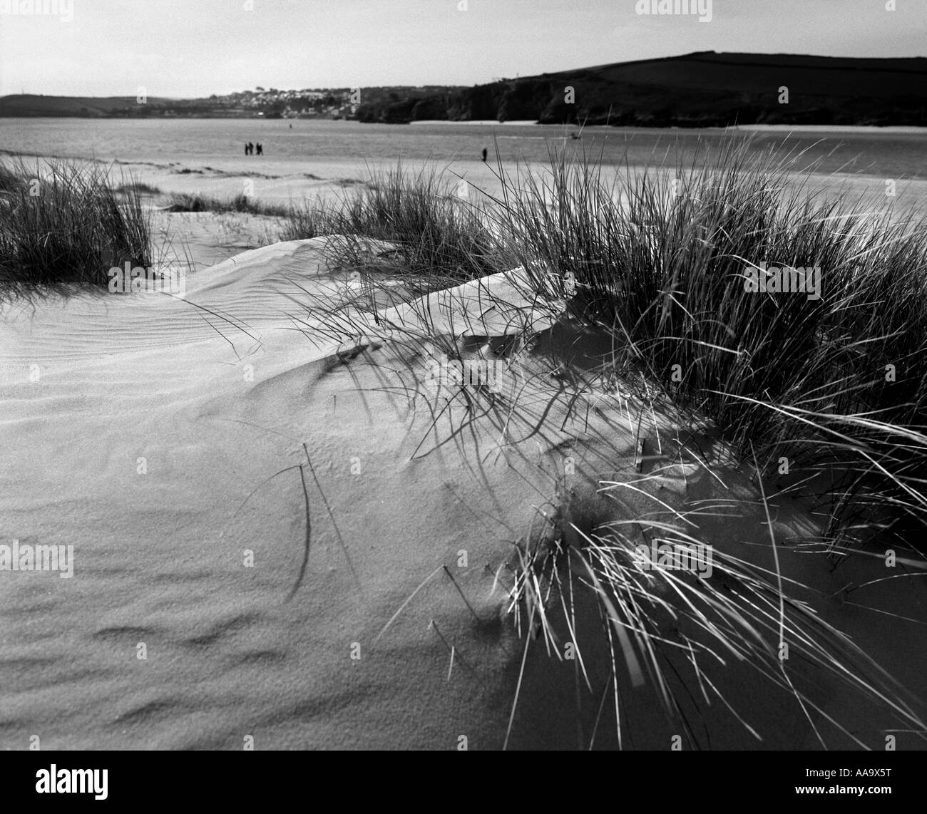Sand dunes overlooking the Padstow Estuary, Rock, Camel Estuary ...