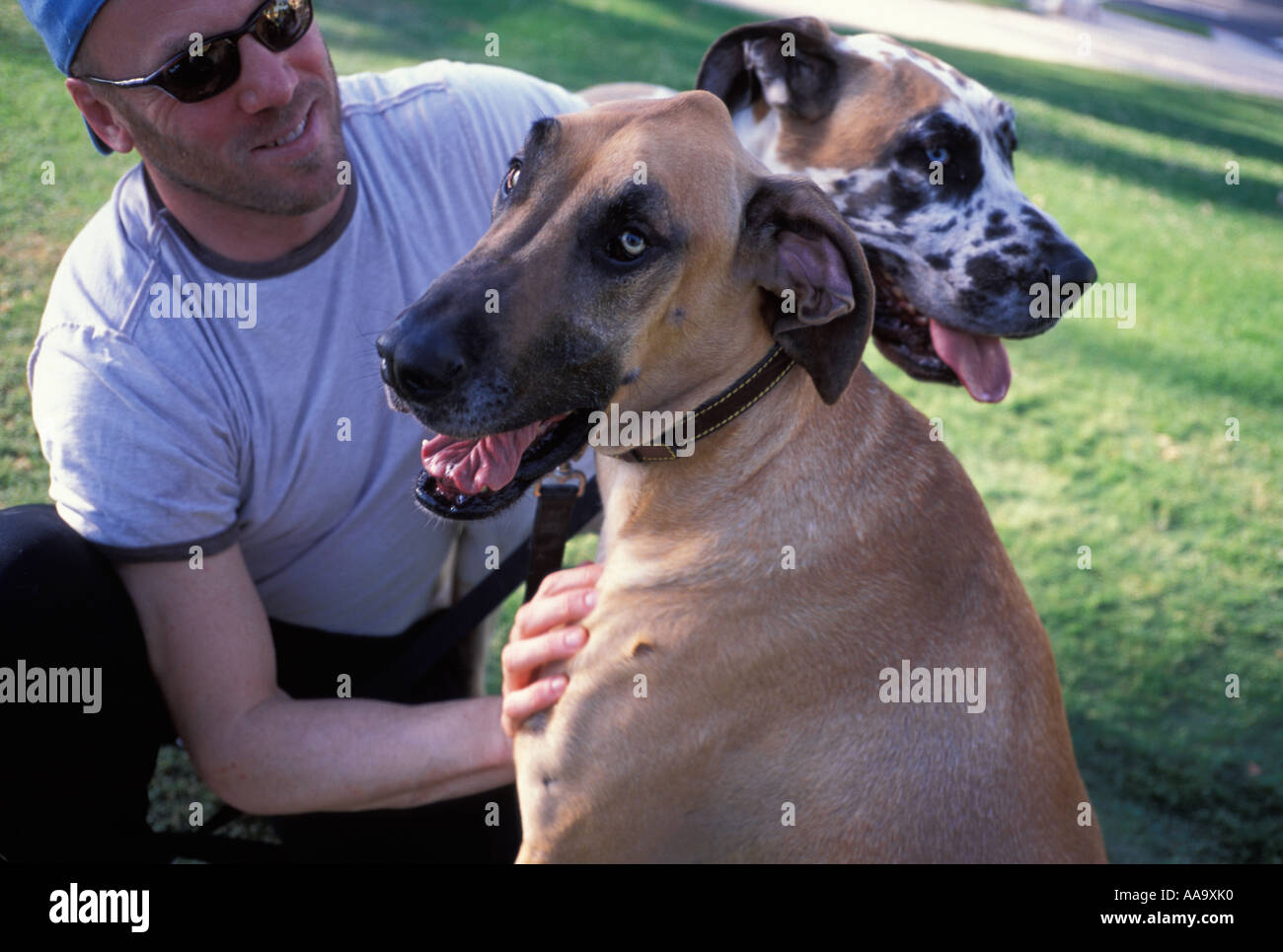 Happy danes hi-res stock photography and images - Alamy