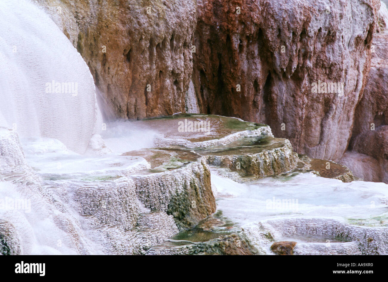 Mammoth hot spring in Yellowstone Nationalpark USA Stock Photo - Alamy