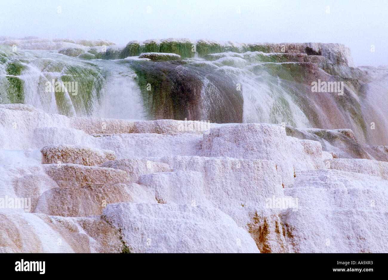 Mammoth hot spring in Yellowstone Nationalpark USA Stock Photo - Alamy