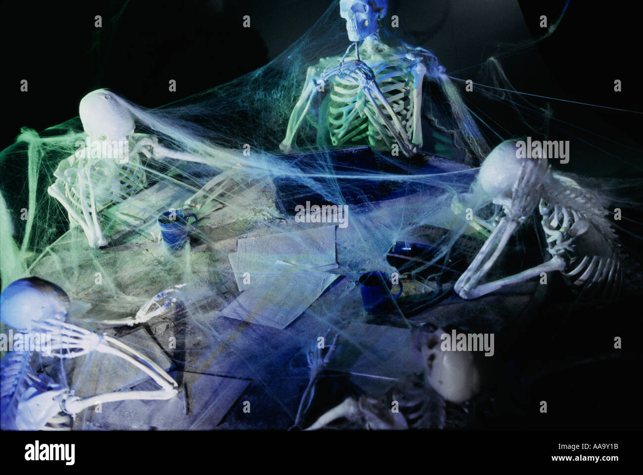 Human skeletons covered in cobwebs hi-res stock photography and images ...