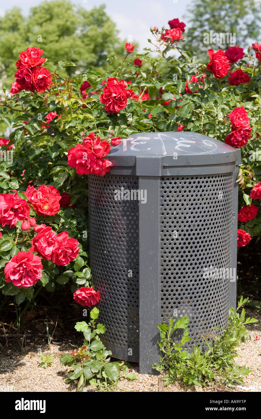 Garbage bin with roses Stock Photo - Alamy