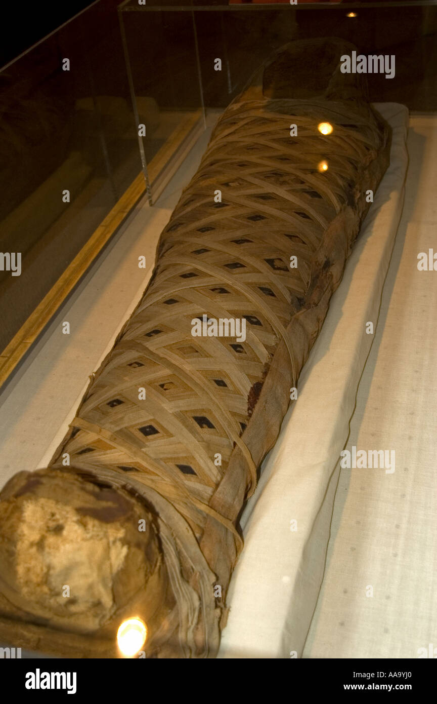 Mummy in case on display with linen fabric woven around it Stock Photo ...