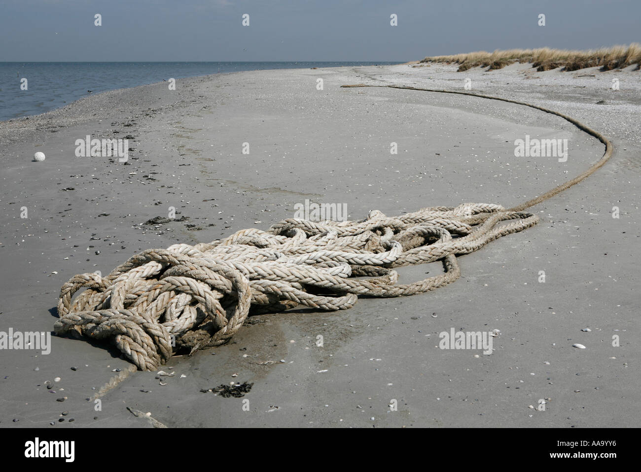 Typical Dutch beach Stock Photo - Alamy