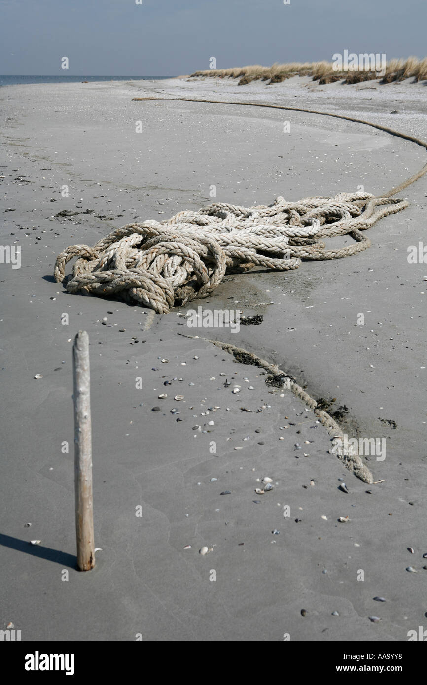 Typical Dutch beach Stock Photo - Alamy