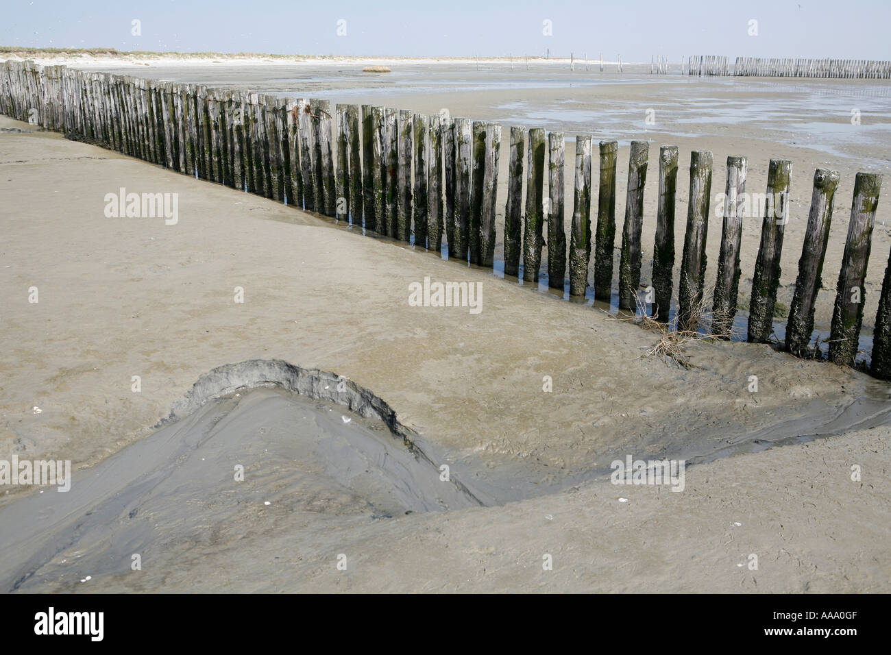 Typical Dutch coast line Stock Photo - Alamy