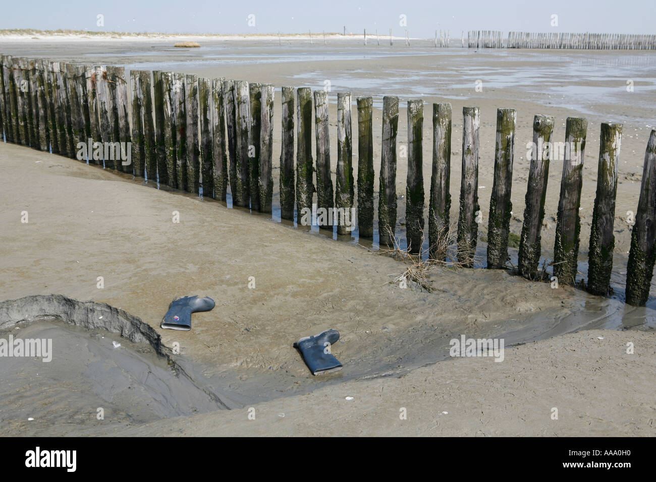 Typical Dutch coast line Stock Photo - Alamy
