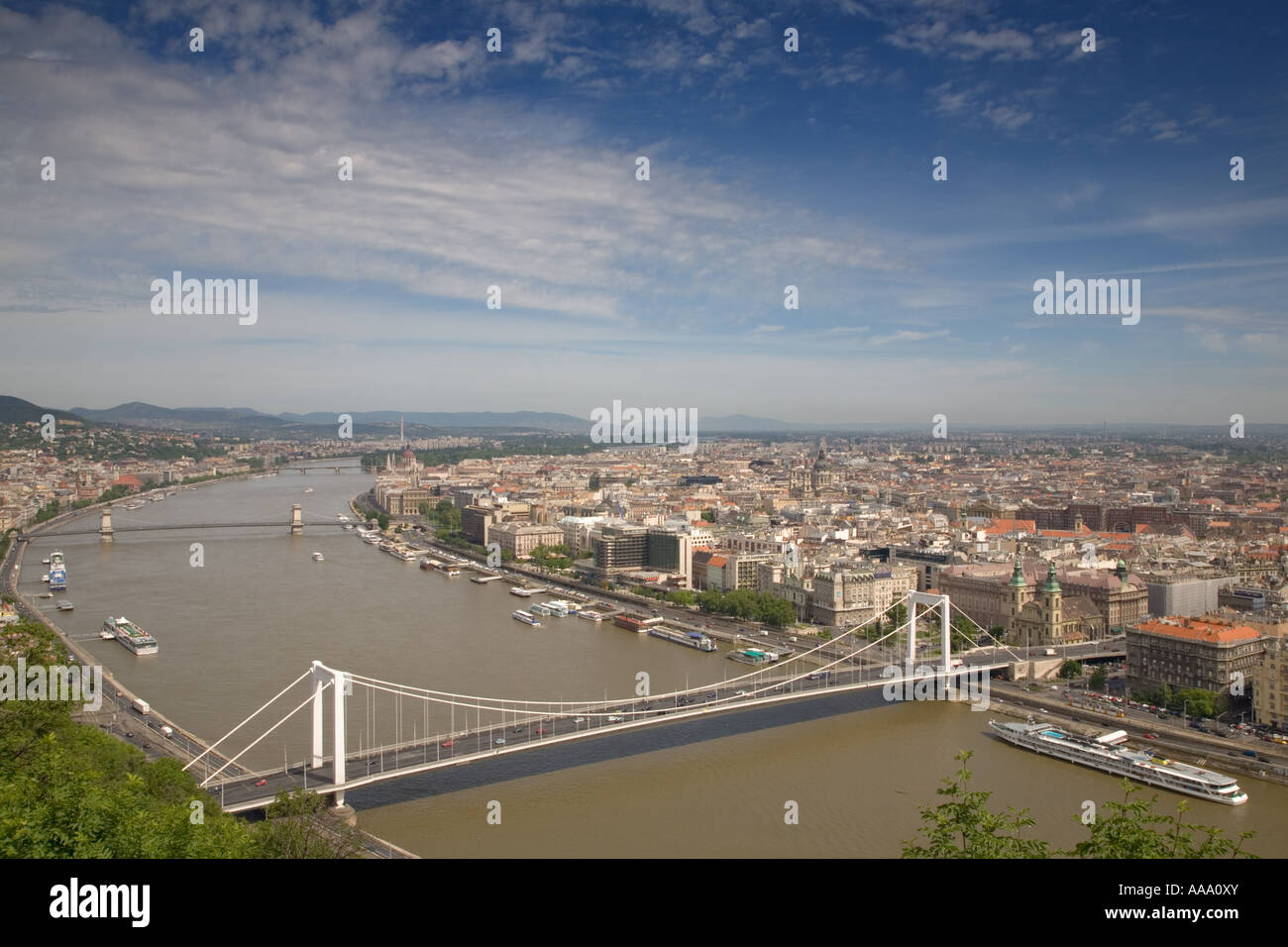 The Danube flowing through Budapest showing the Elizabeth bridge and ...