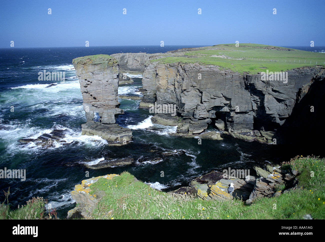 yesnaby castle sea stack isle of orkney mainland scotland uk gb Stock ...