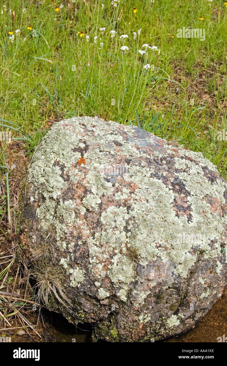 Caliche rock hi-res stock photography and images - Alamy