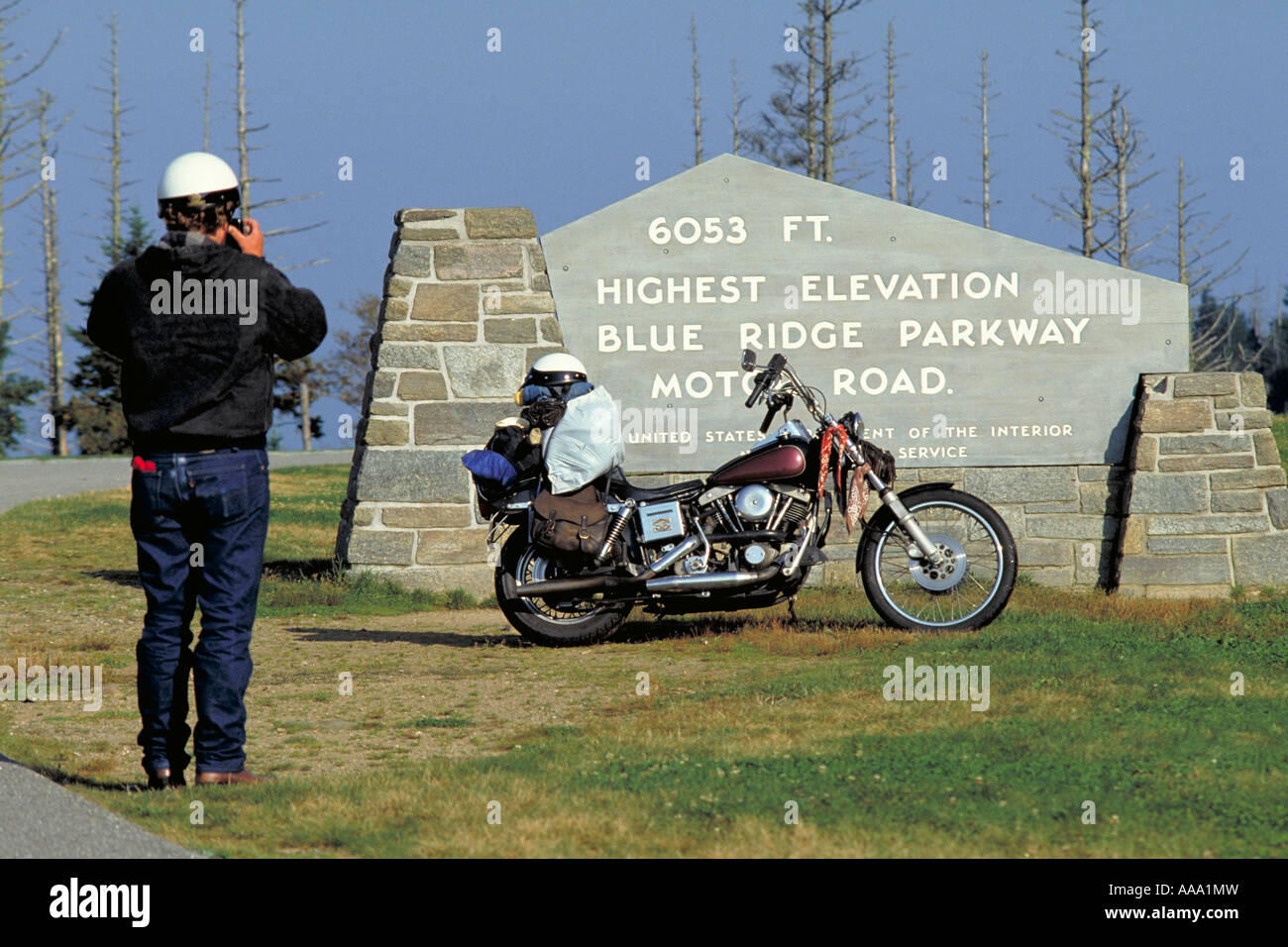 Dead tree blue ridge parkway hi-res stock photography and images - Alamy