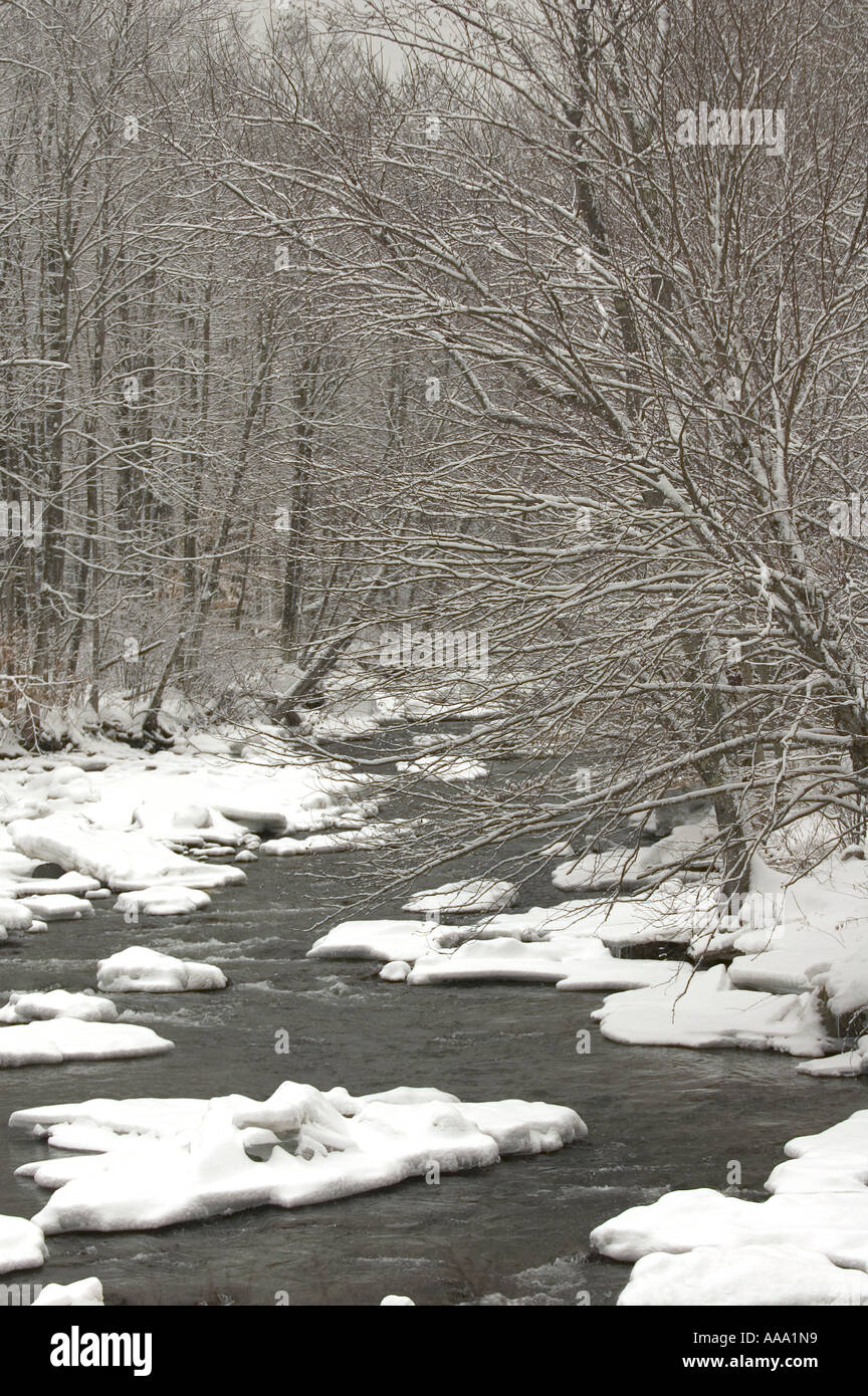 Waters flows in a brook in the spring in New England Stock Photo - Alamy
