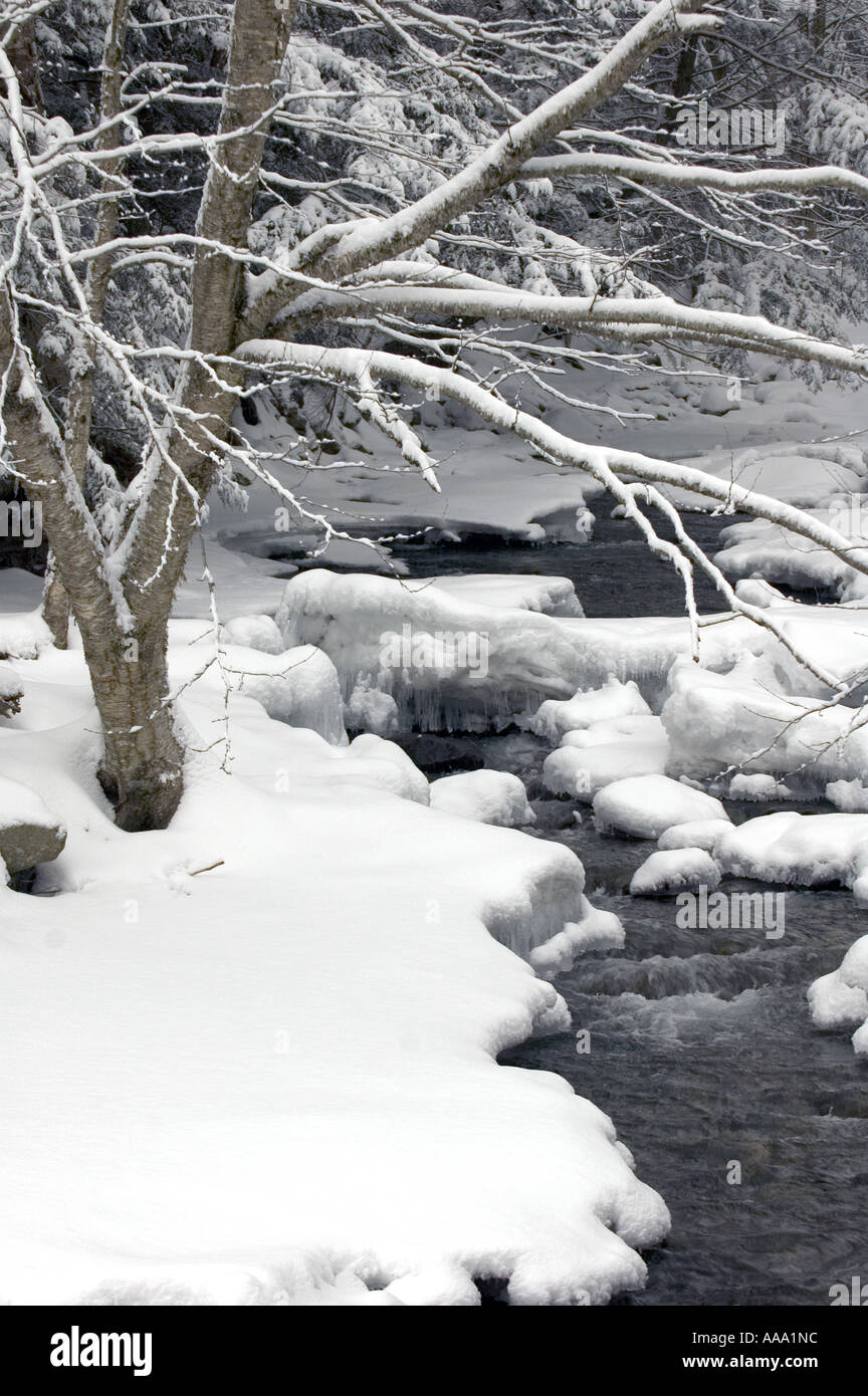 Waters flows in a brook in the spring in New England Stock Photo - Alamy