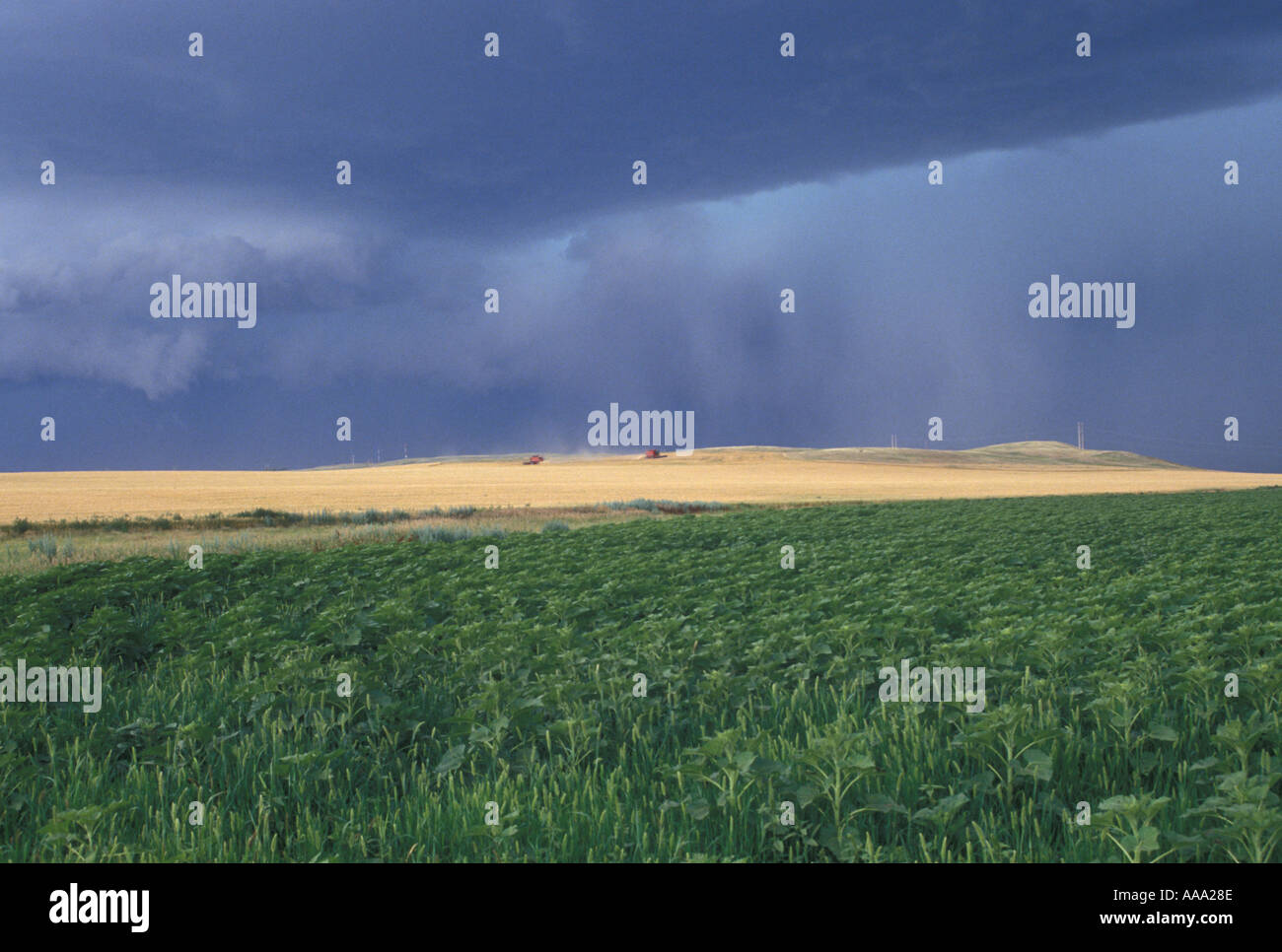 Cumulus clouds over prairie hi-res stock photography and images - Alamy