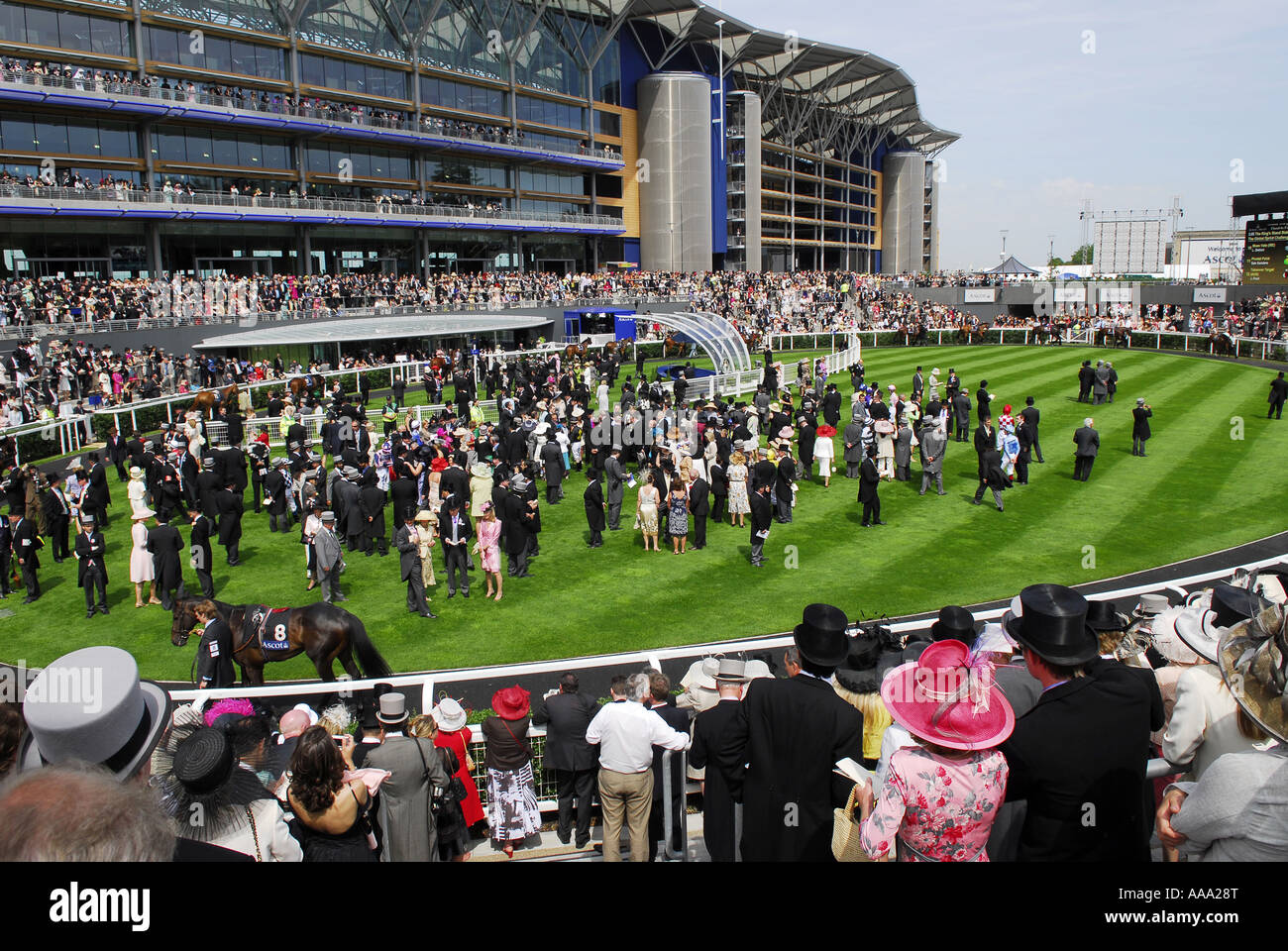 Ascot stand hi-res stock photography and images - Alamy