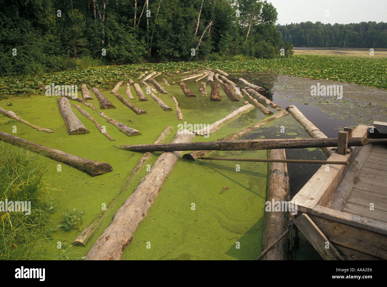 Logging in minnesota hi-res stock photography and images - Alamy