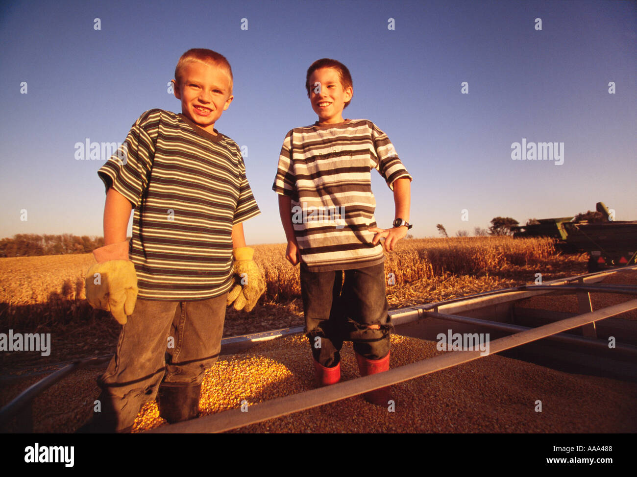 Agriculture - Two farm boys pose while playing together in the back of ...