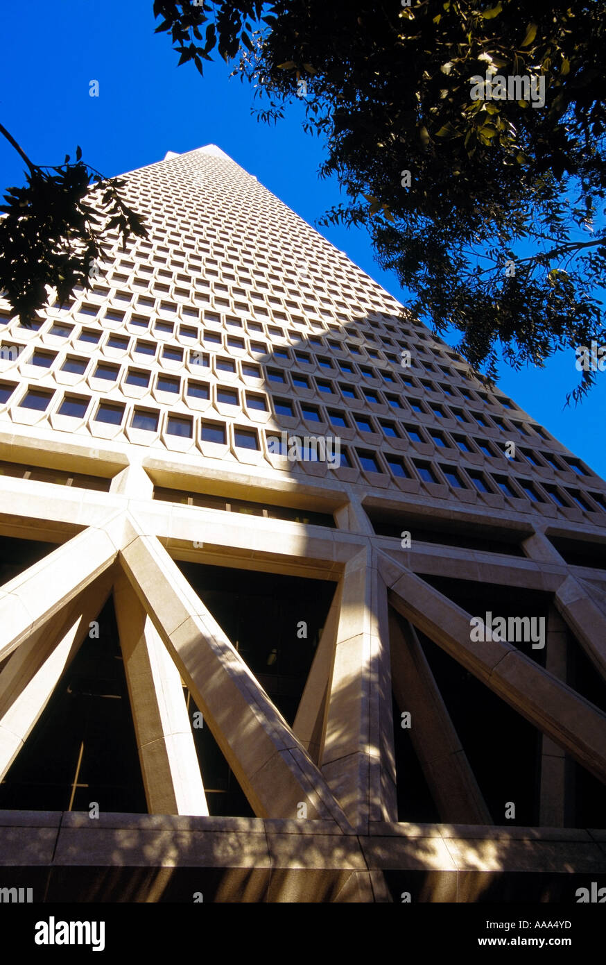 Transamerica Pyramid Interior