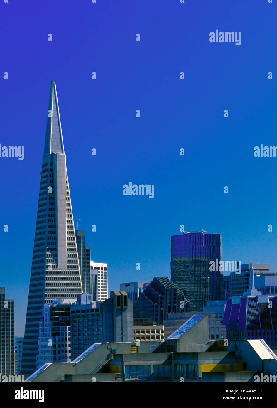 Transamerica Pyramid San Francisco Skyline Stock Photo - Alamy