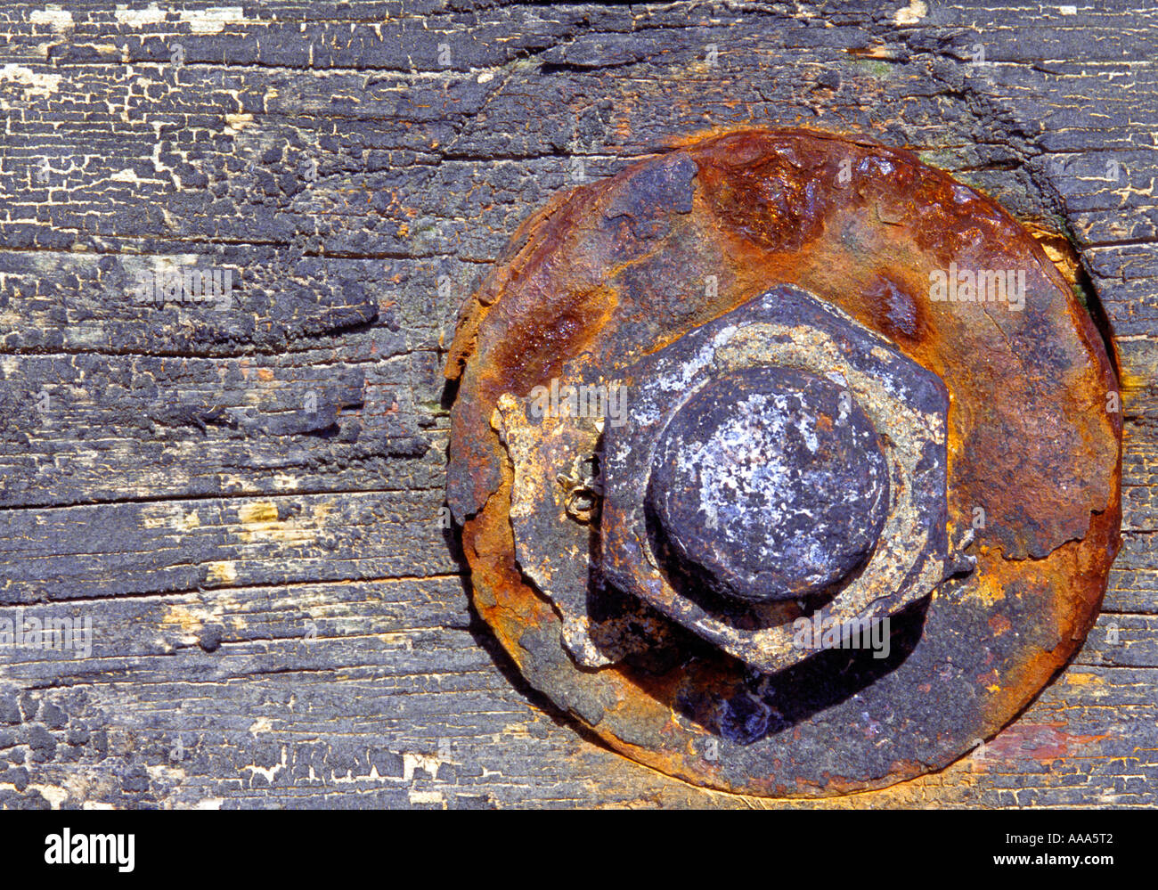 The Old Screw in Wood Stock Photo - Alamy