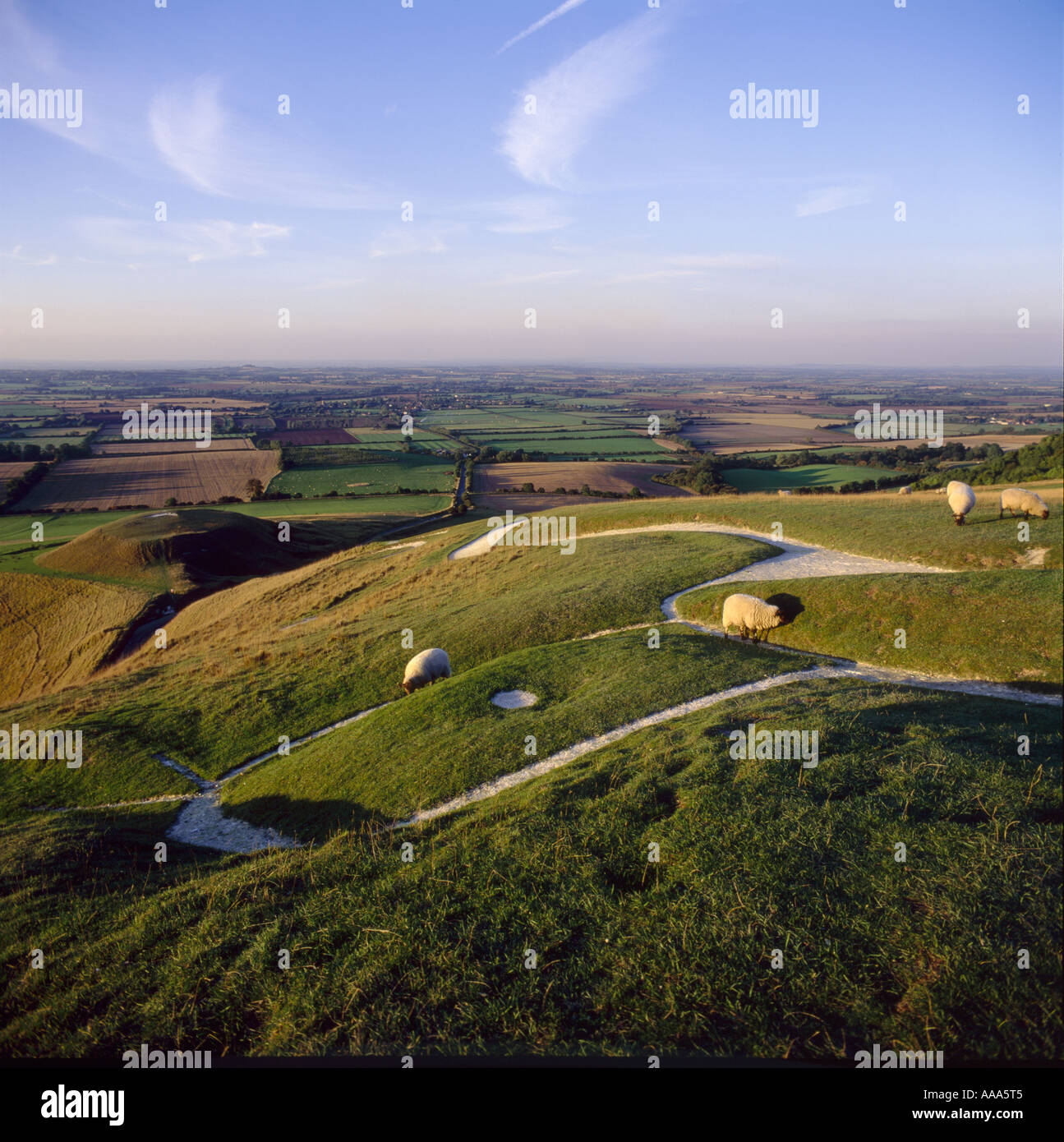 The White Horse of Uffington Stock Photo - Alamy
